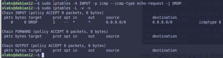 Configuration IPtables sur Debian – Oleks IT Blog